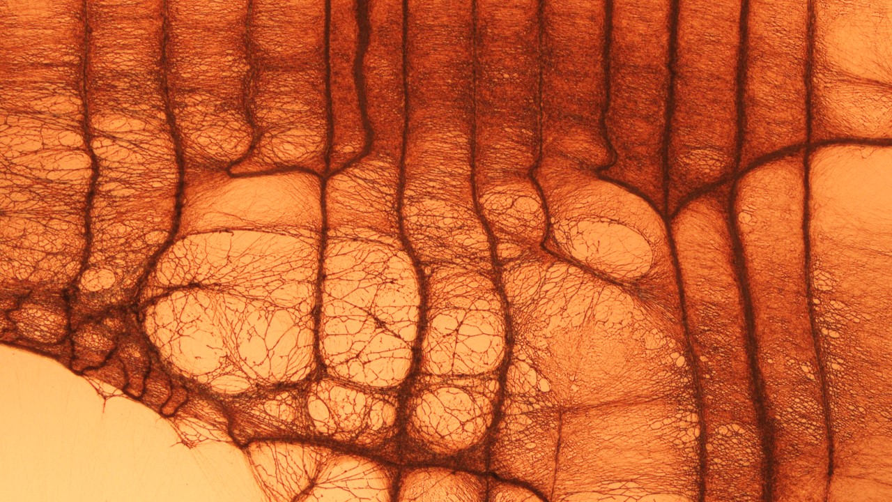 Andy wang lab @ HKUST-GZ