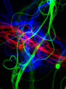 Andy wang lab @ HKUST-GZ