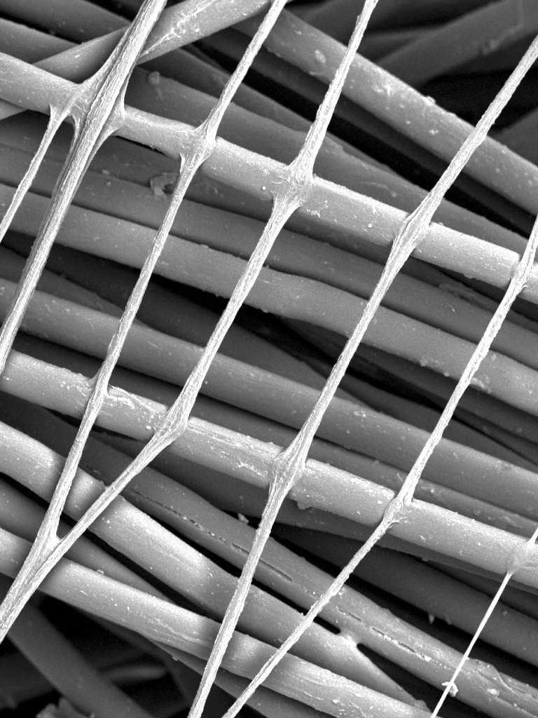 Andy wang lab @ HKUST-GZ